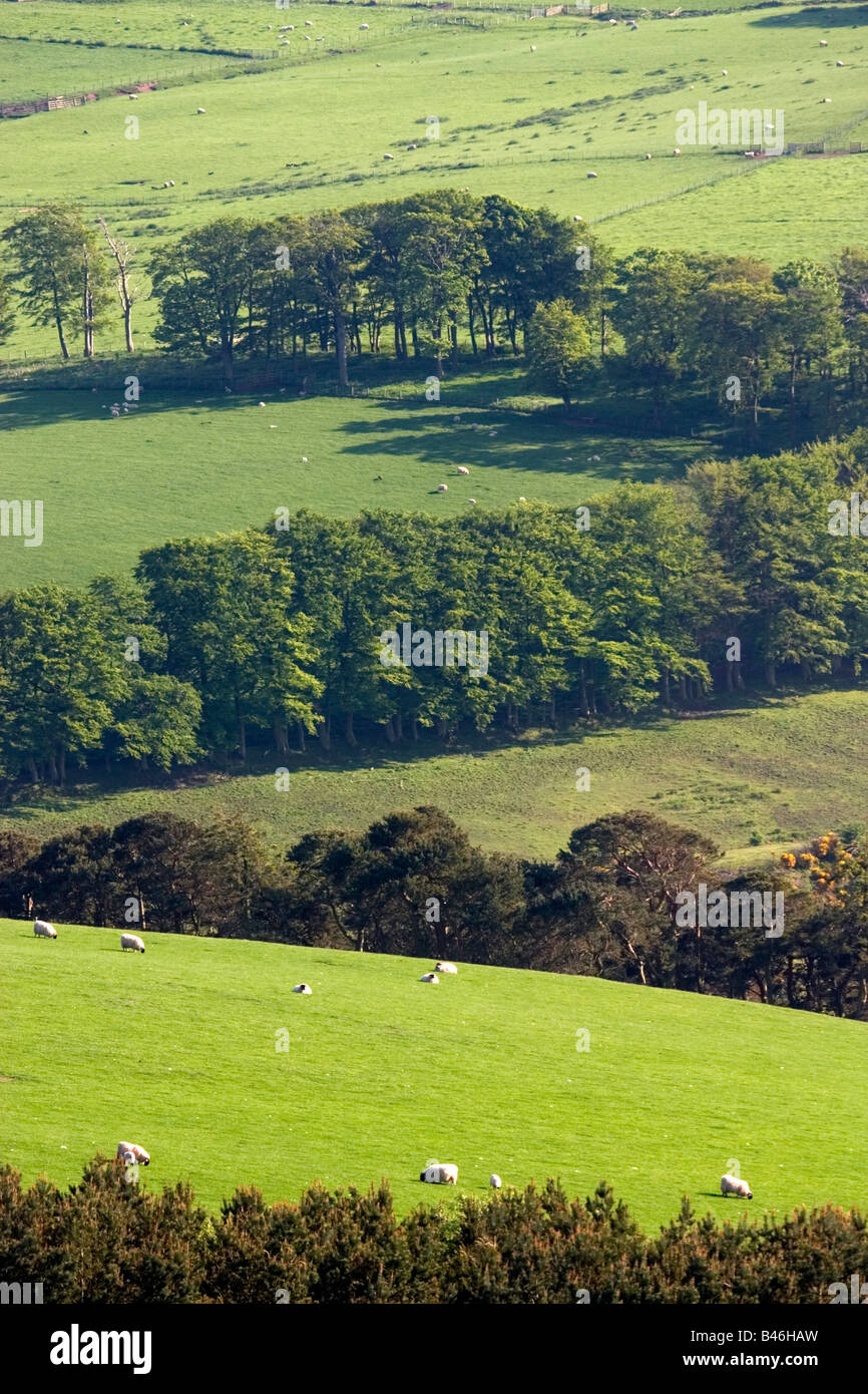 Lothians hi-res stock photography and images - Alamy