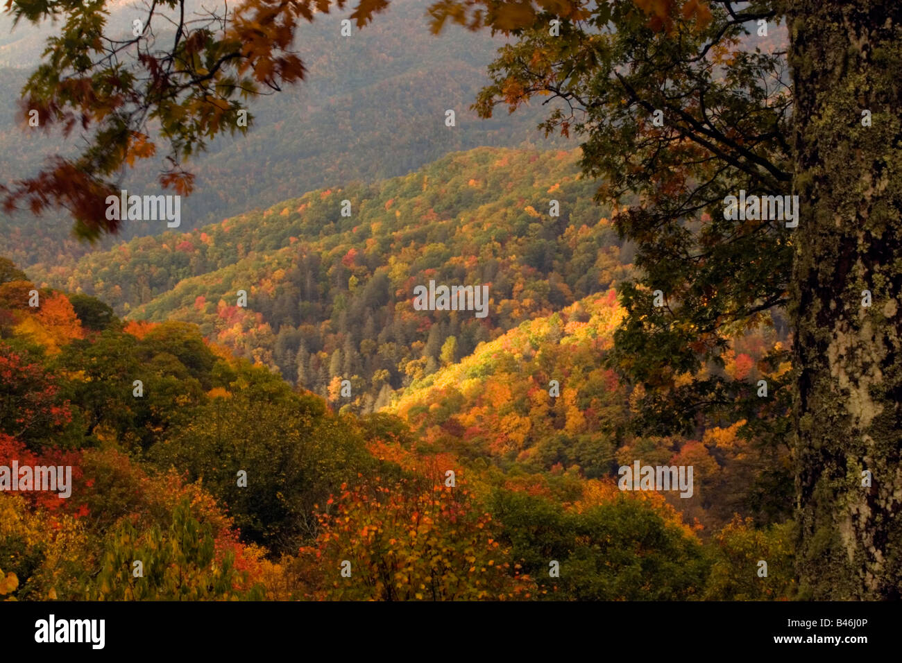 Webb Overlook, Great Smokey Mountains National Park, North Carolina ...