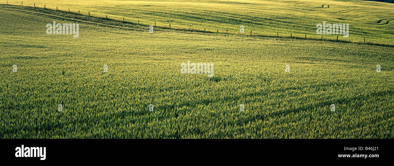 Crossfield hi-res stock photography and images - Alamy