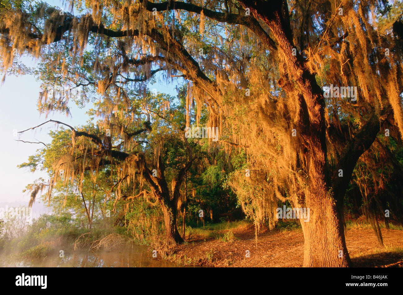 Griffith lake united states hi-res stock photography and images - Alamy