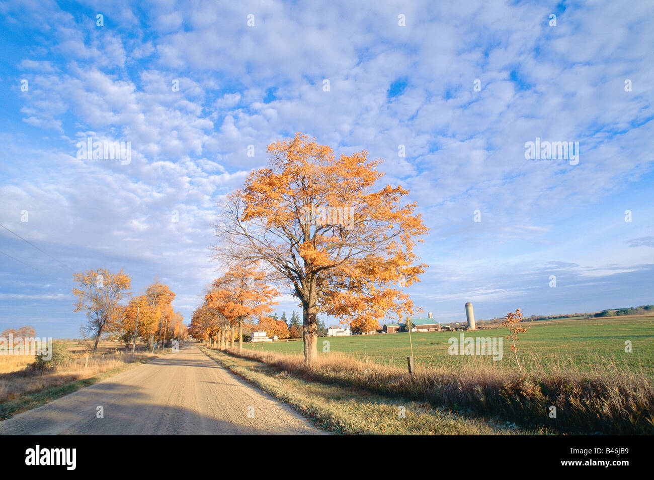 Farmland ontario road hi-res stock photography and images - Alamy