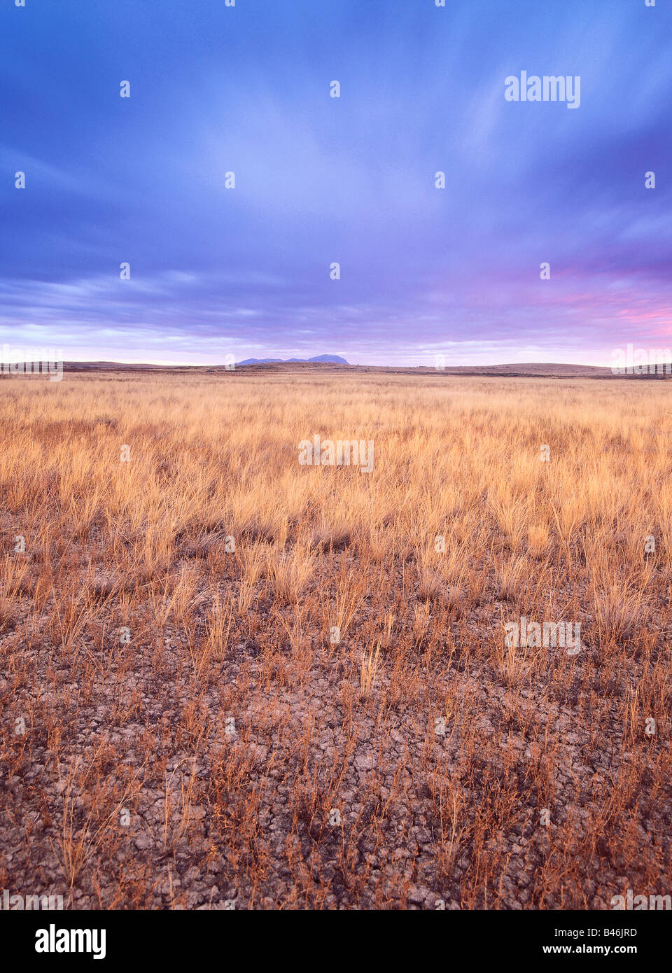 Sweetgrass hills hi-res stock photography and images - Alamy