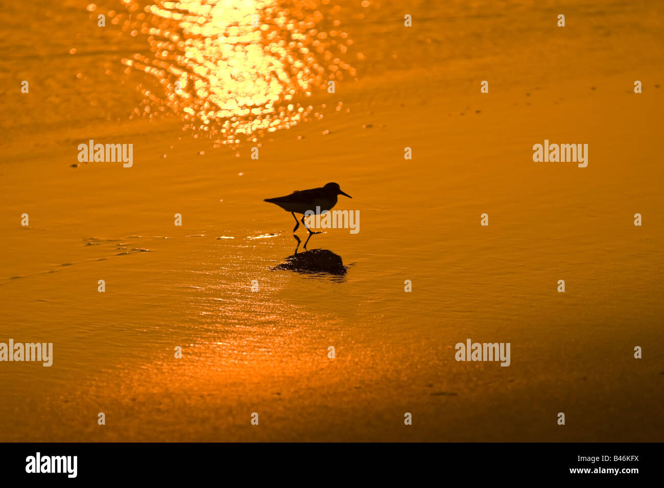 A glint of ocean sunset hi-res stock photography and images - Alamy