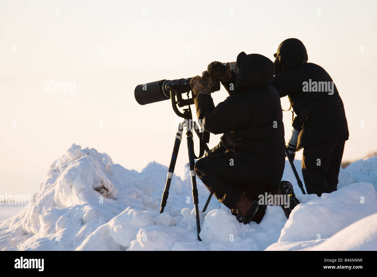 Person clicking photograph hi-res stock photography and images - Alamy