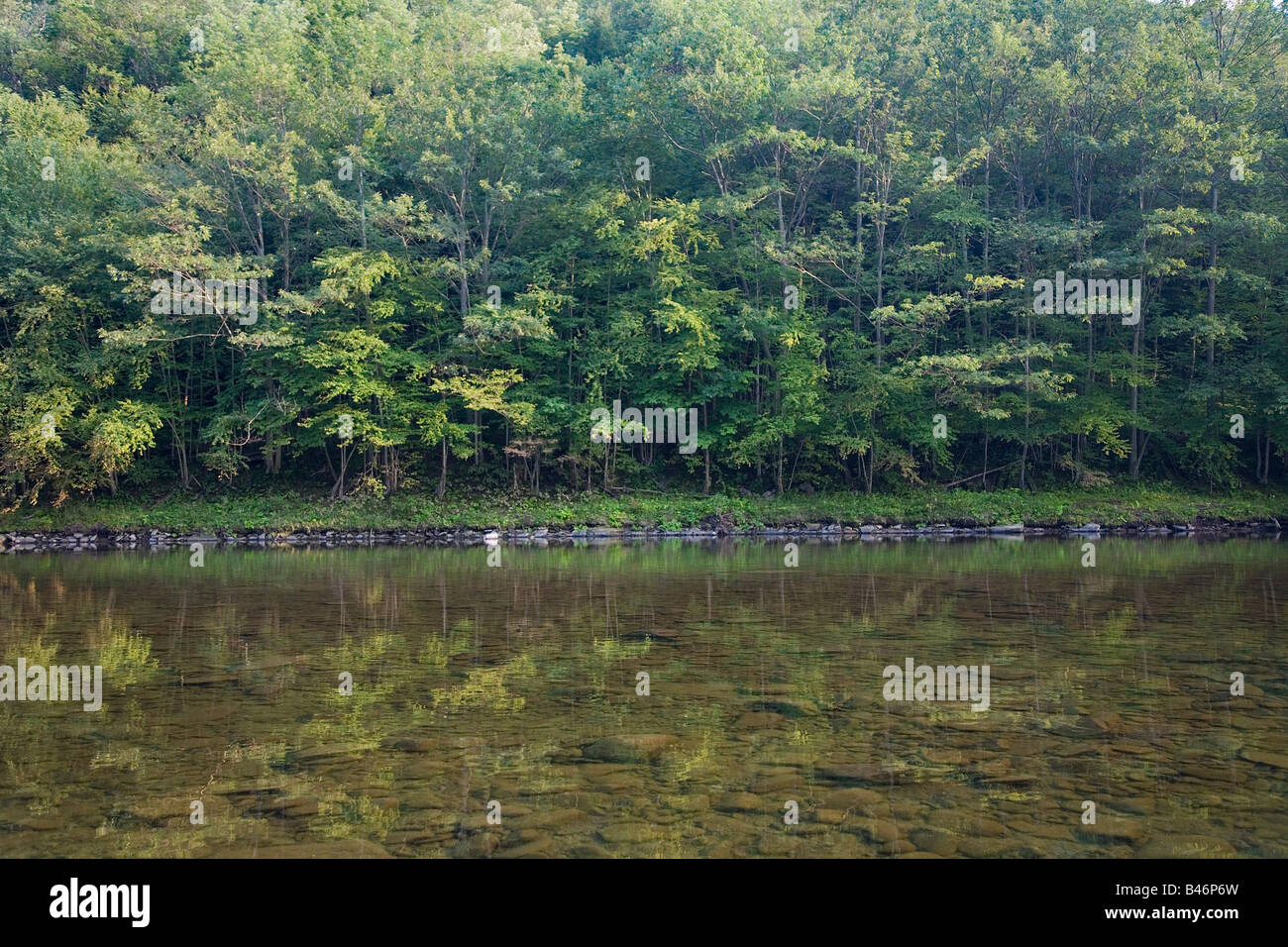 Cairns Pool, Beaverkill River, Catskill Park, New York, USA Stock Photo ...