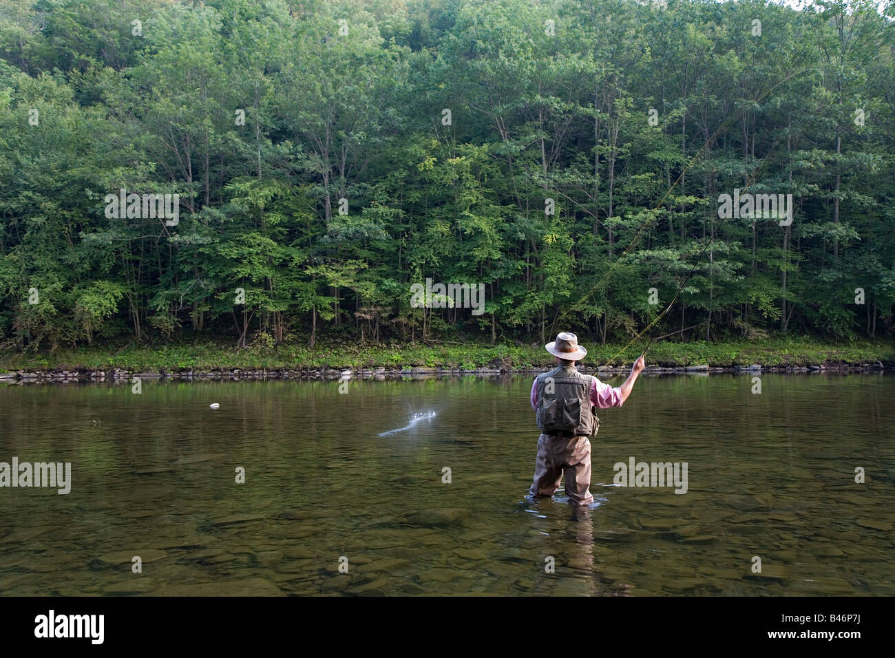 Beaverkill river hi-res stock photography and images - Alamy