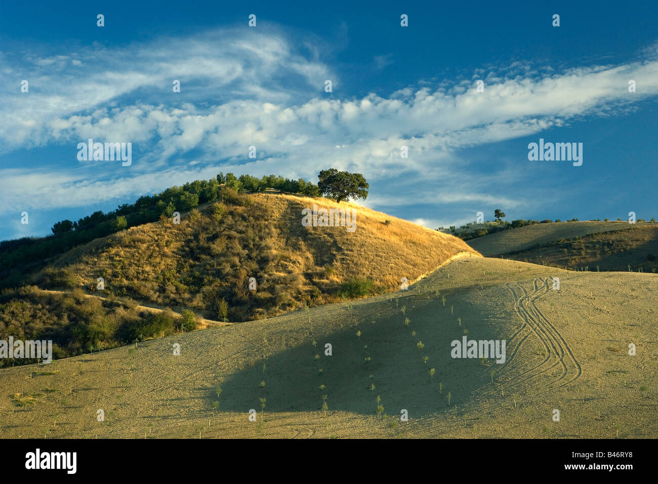 Fields on Hillside, Andalucia, Spain Stock Photo - Alamy