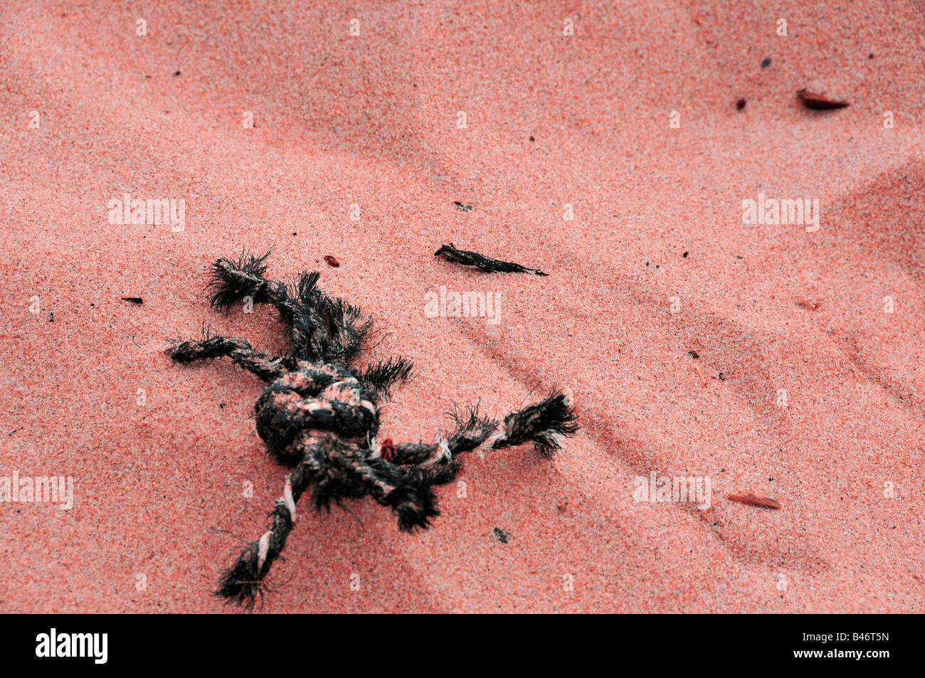 Rope in the sand Stock Photo - Alamy