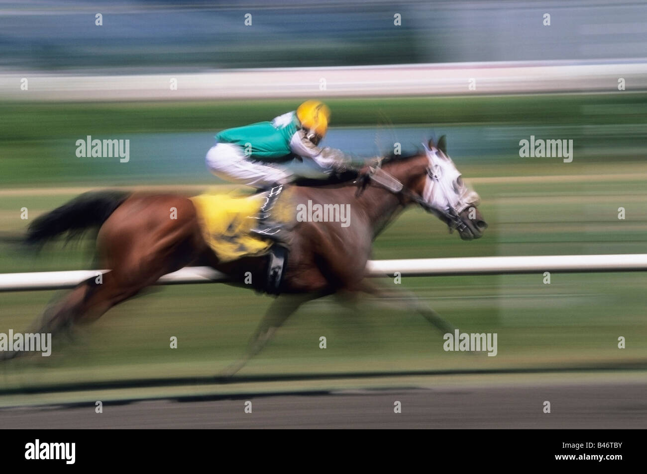 Horse panning shot hi-res stock photography and images - Alamy