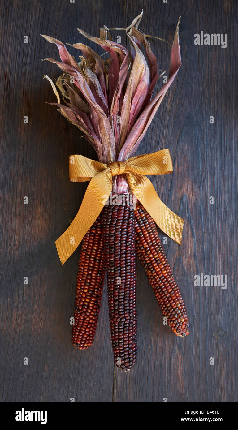 Dried Corn Tied with Bow Stock Photo - Alamy