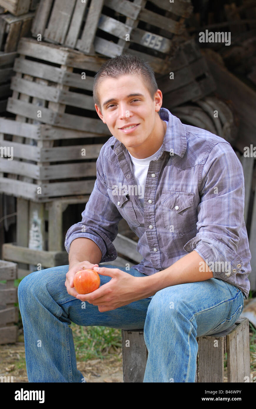Pile of apple boxes hi-res stock photography and images - Alamy