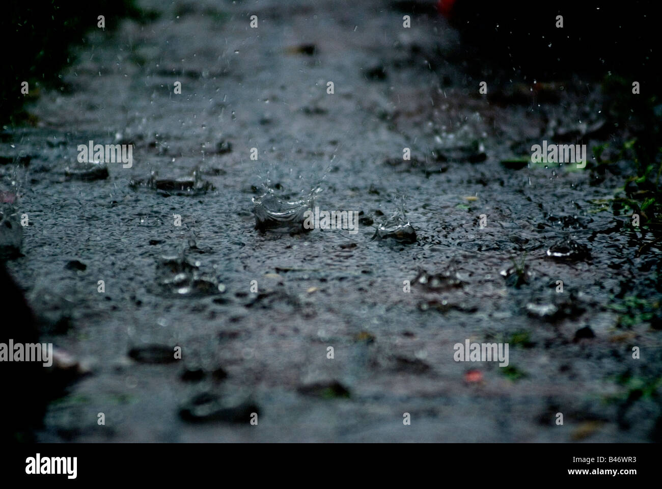 Rain drops falling during heavy rain in Suffolk Britain 2008 Stock ...