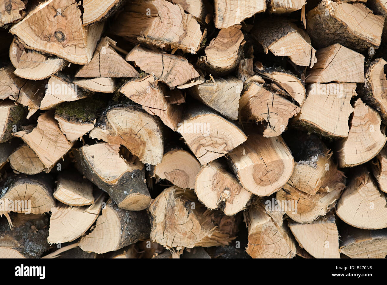 Lots of logs hi-res stock photography and images - Alamy