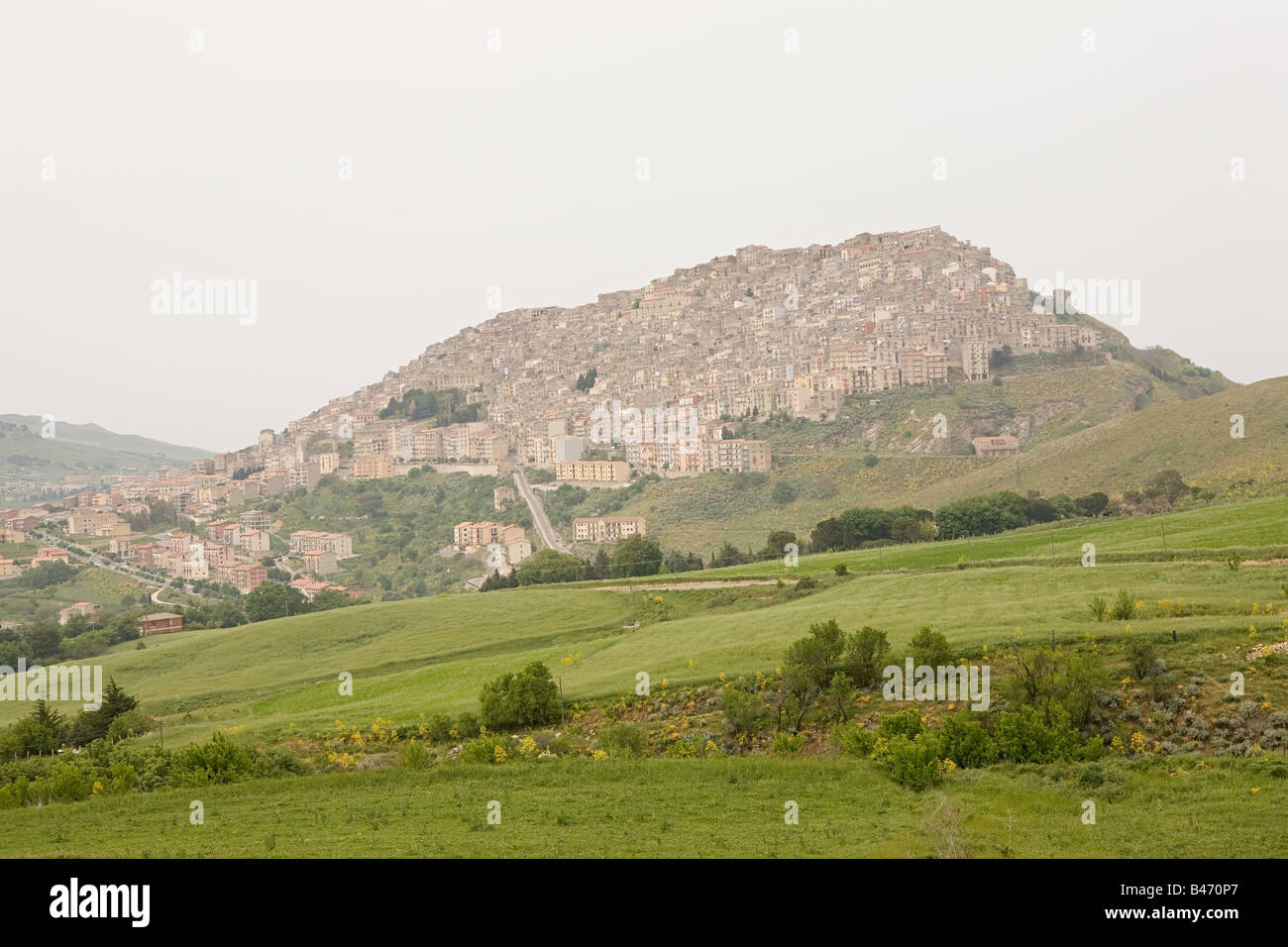 Gangi hi-res stock photography and images - Alamy