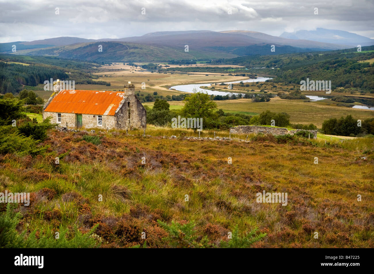 Croft scotland sheep hi-res stock photography and images - Alamy