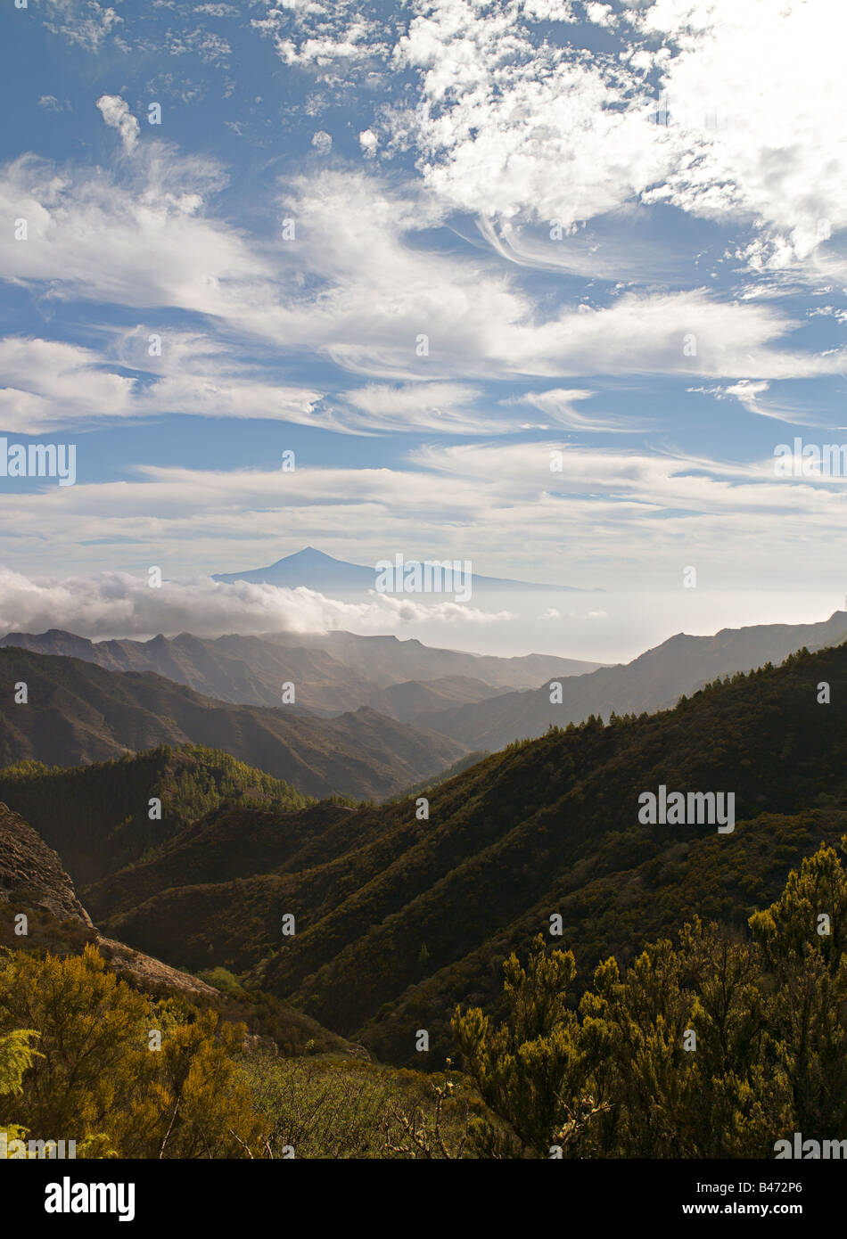 Benchijigua valley hi-res stock photography and images - Alamy
