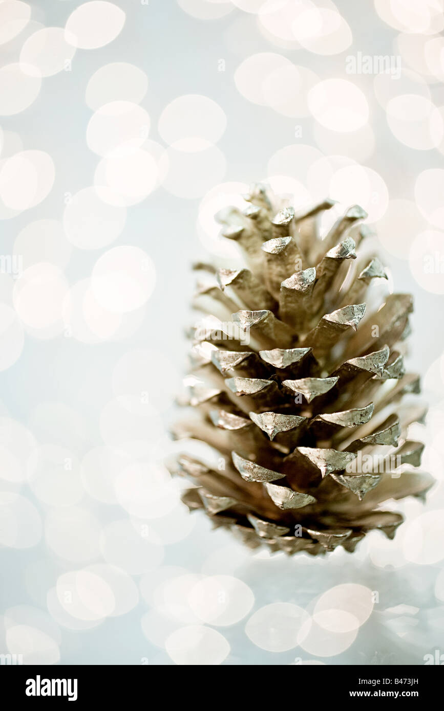 Golden pine cone Stock Photo - Alamy