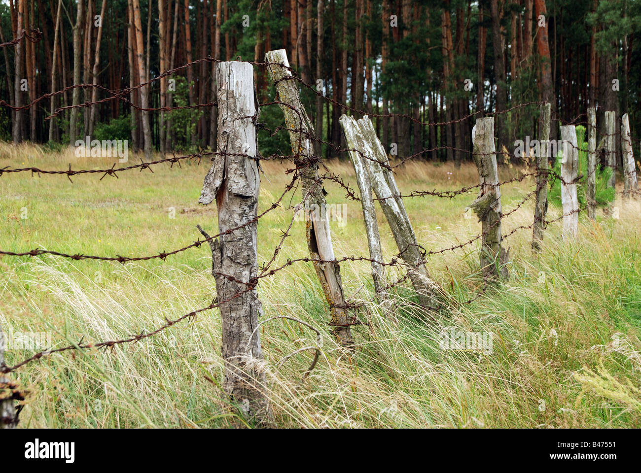 Barbed wire fence on polish countryside Stock Photo - Alamy