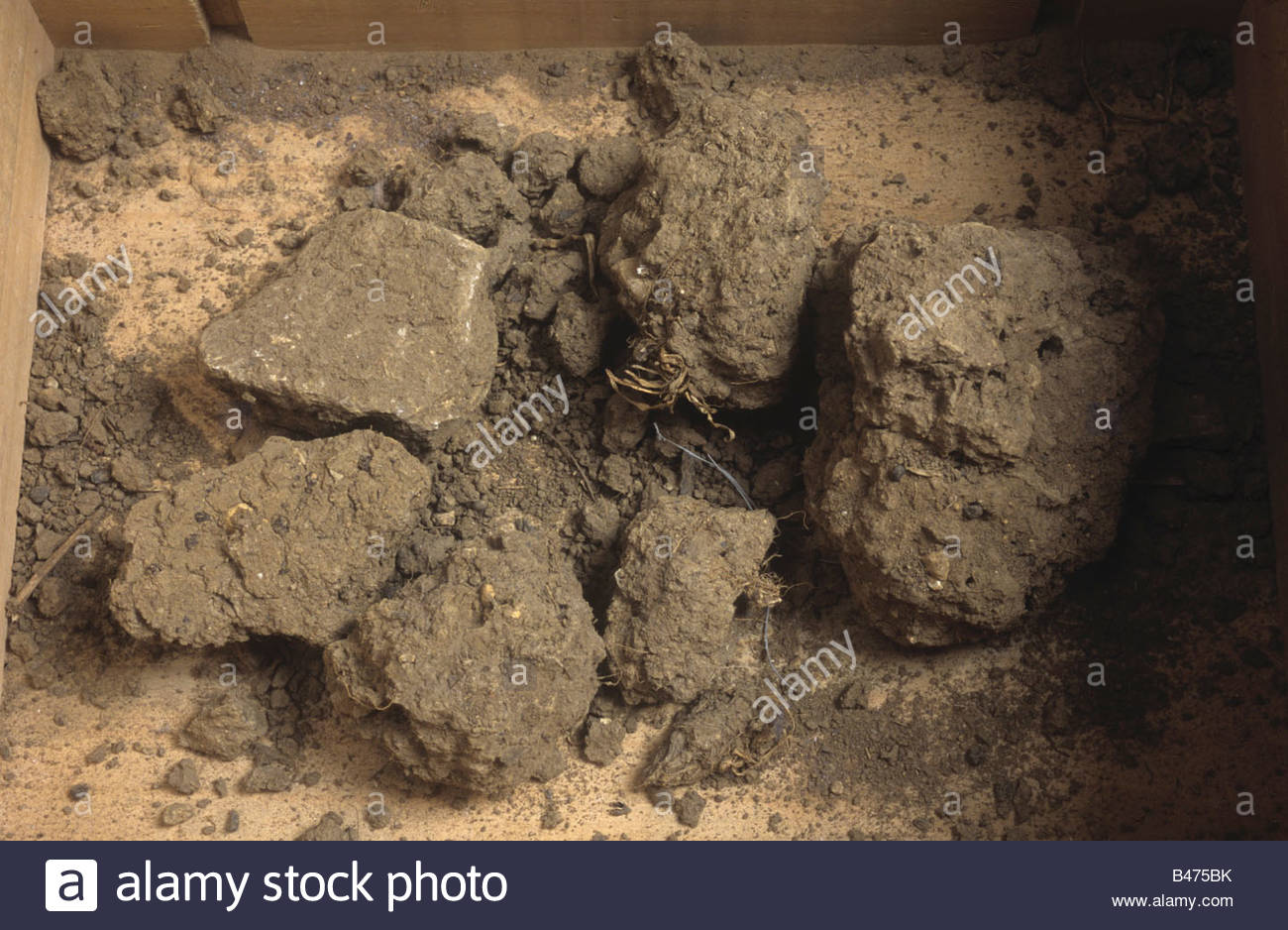 Loamy Soil Stock Photos & Loamy Soil Stock Images - Alamy