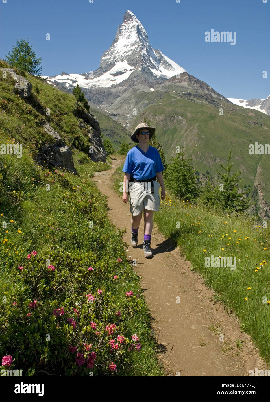 Walking amidst the stunning alpine scenery above Zermatt in Switzerland ...
