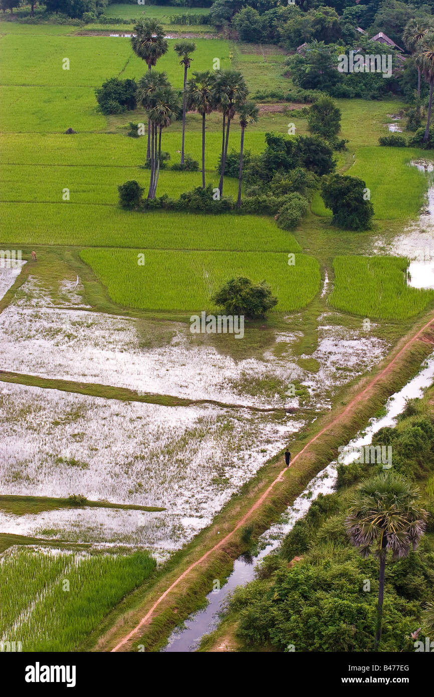 Aerial view of flooded rural rice fields, Siem Reap, Cambodia Stock ...