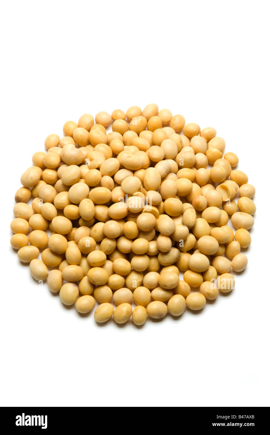 Soya Beans Seeds