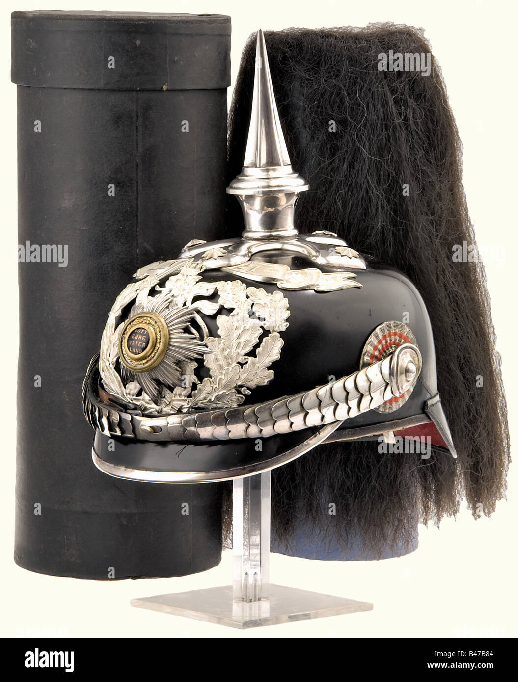 Black bears skull hi-res stock photography and images - Alamy