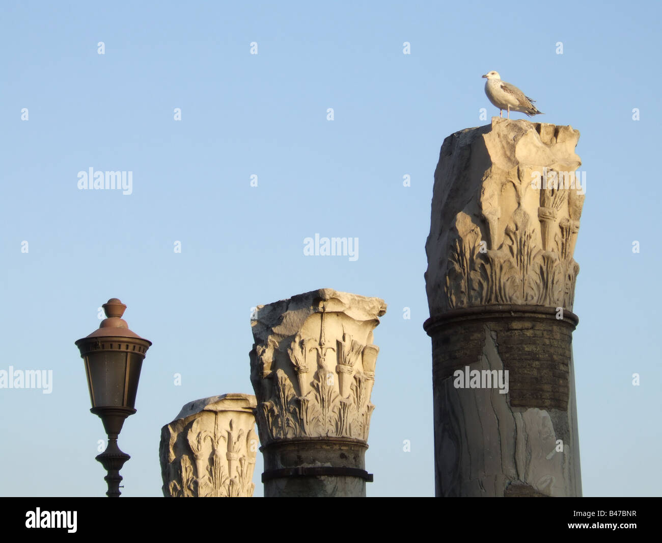 Ancient roman ruins relics column columns one hi-res stock photography ...
