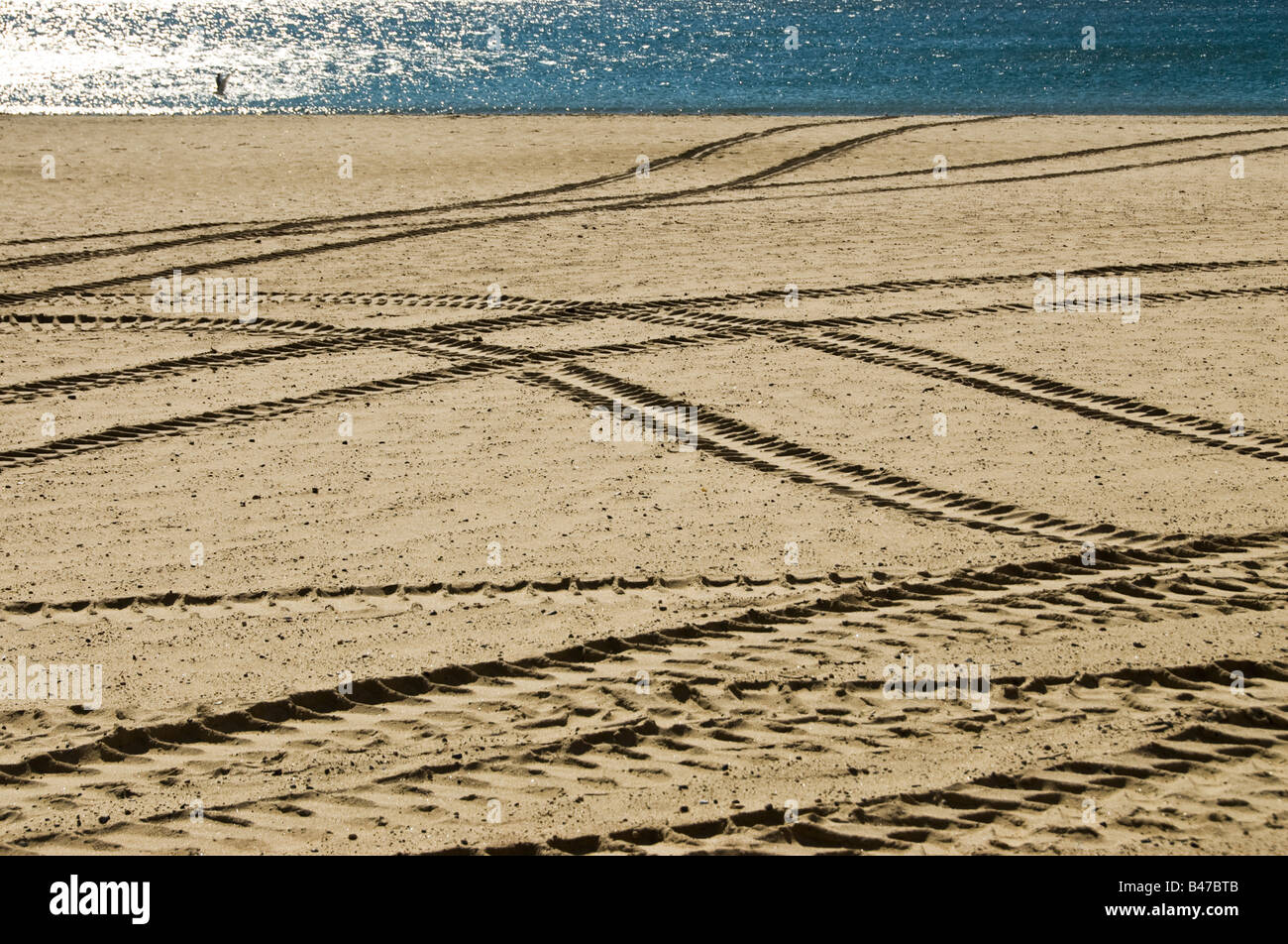 A beach image showing crossing tire tracks in the sand with the ocean ...