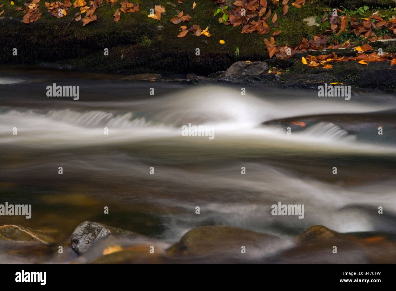 Close to nature tranquil scene hi-res stock photography and images - Alamy