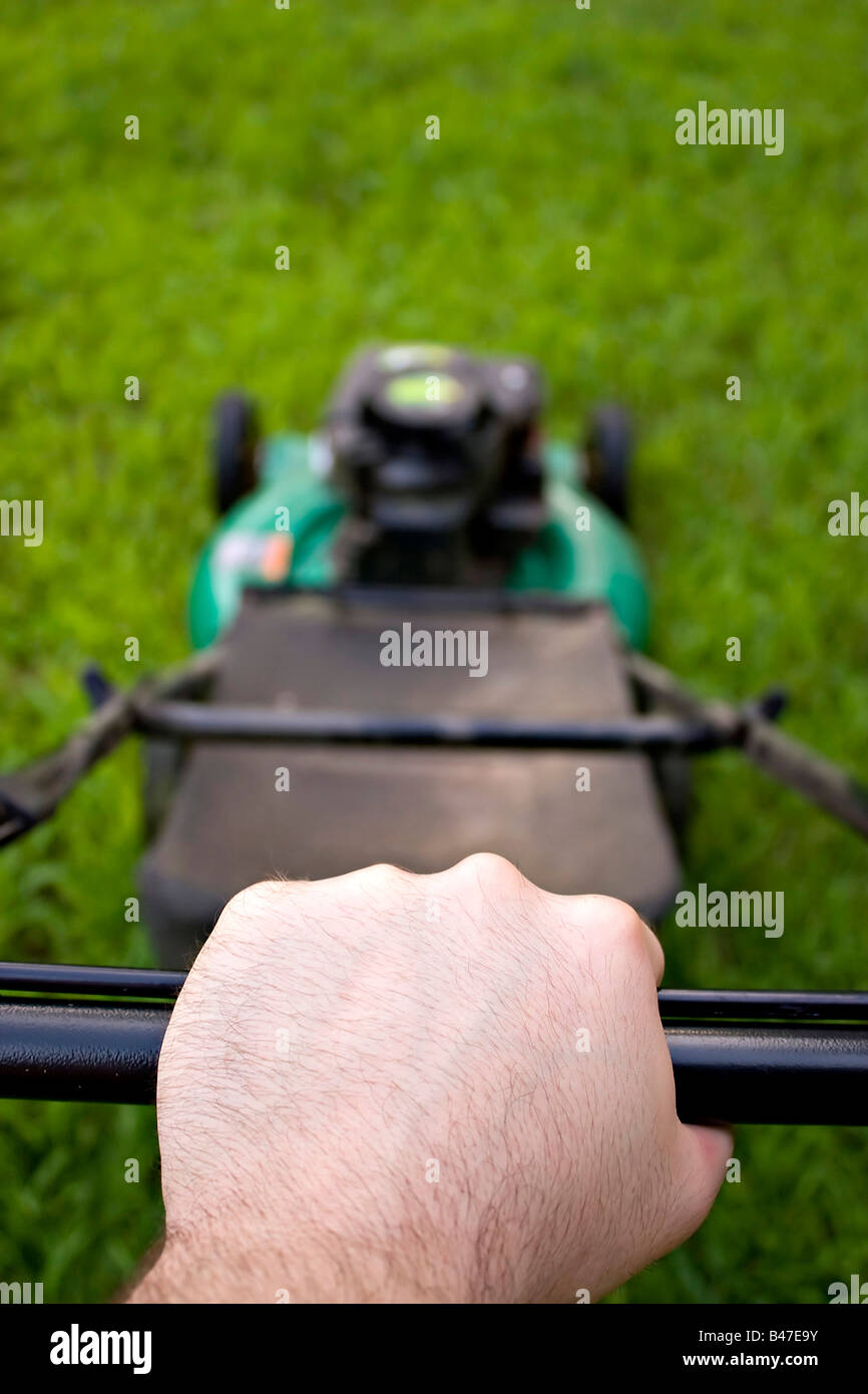 The interesting point of view from a man pushing a lawn mower Shallow ...