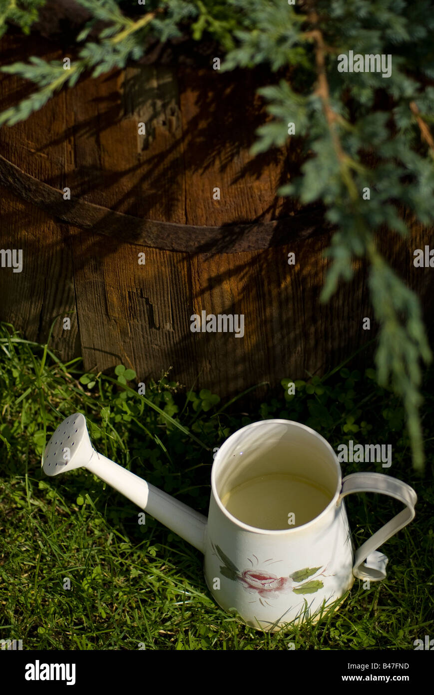 Water barrel watering can watering garden hi-res stock photography and ...