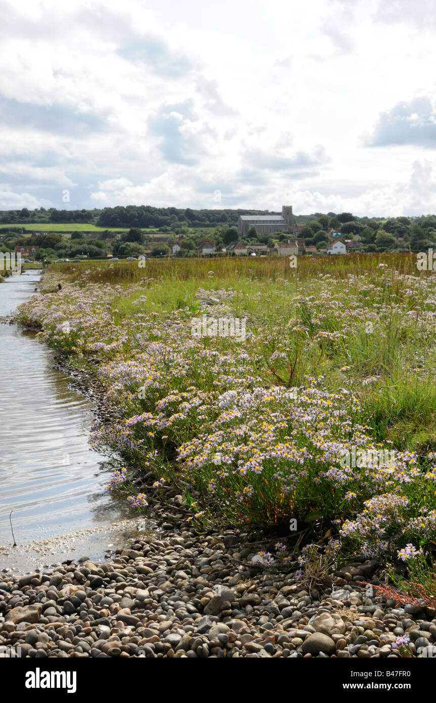 Salthouse marshes flowering with sea aster looking towards salthouse ...
