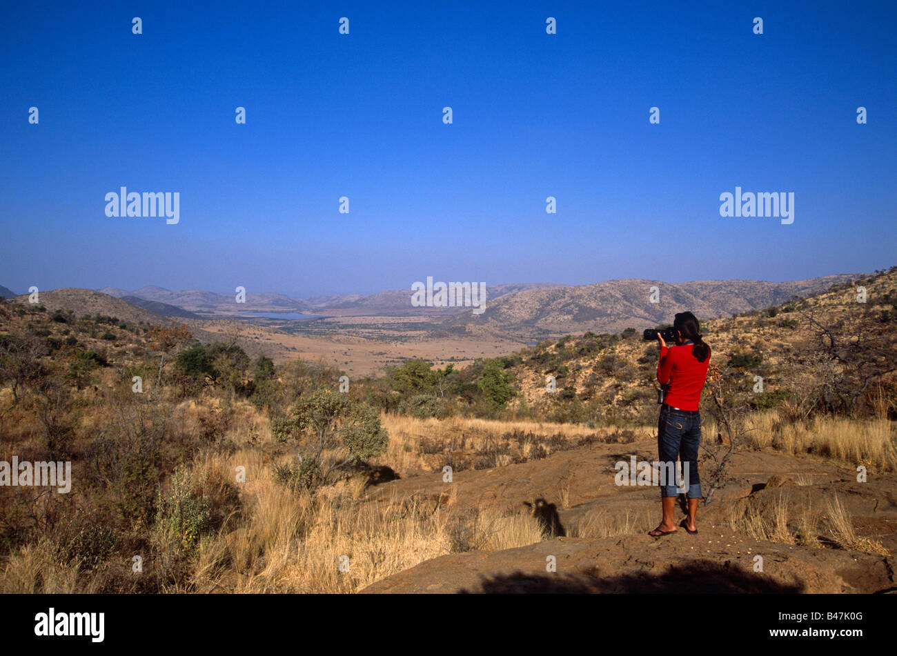 Woman photographing at viewpoint, Mankwe Dam,Pilanesberg Game Reserve ...