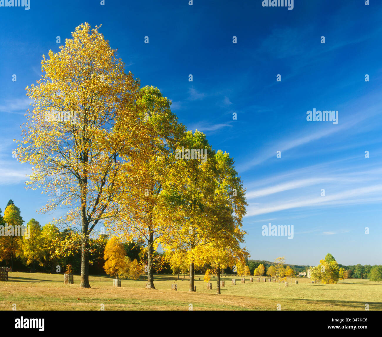 Lord bath longleat hi-res stock photography and images - Alamy