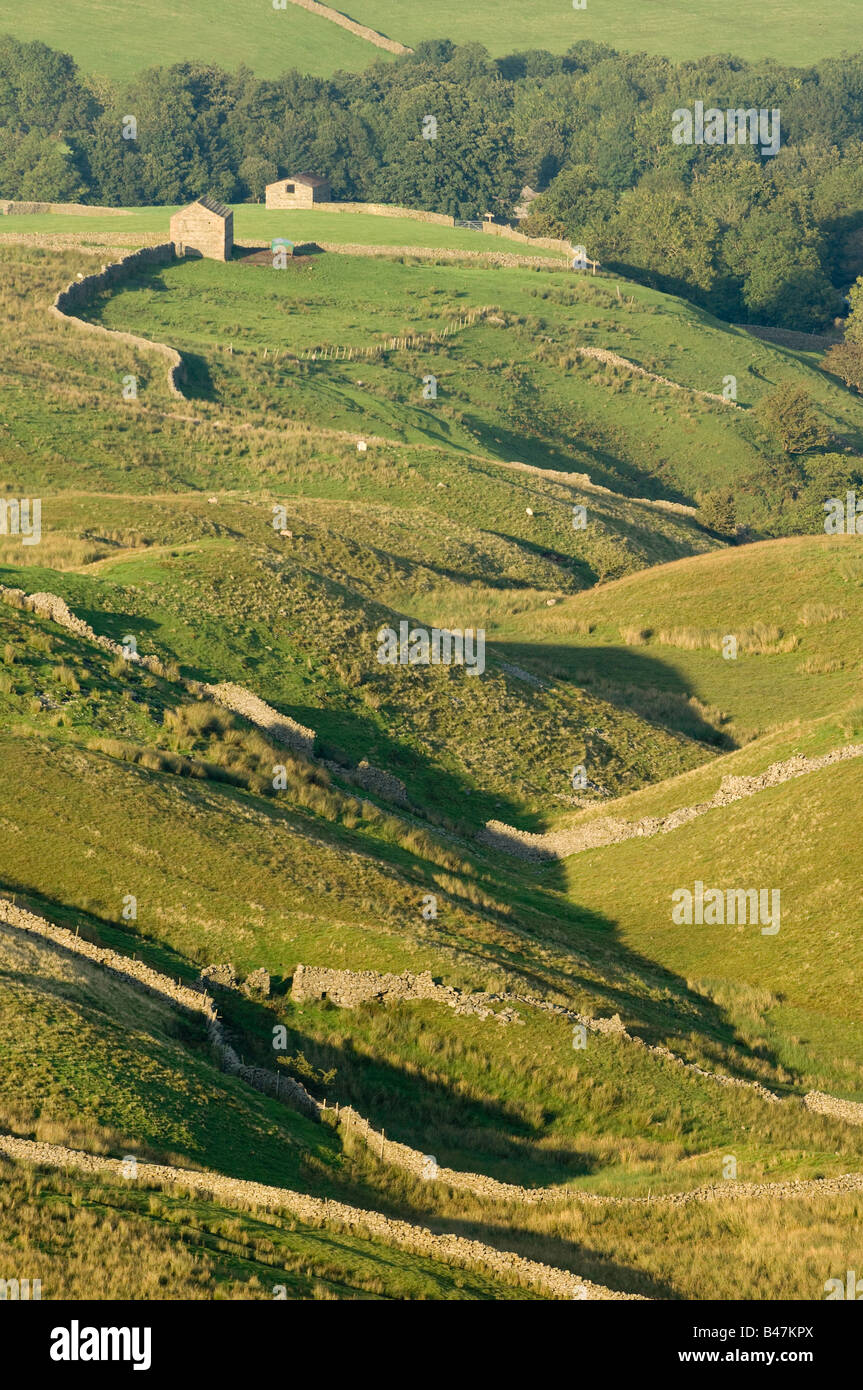 Looking down Cliff Beck ghyll from the Buttertubs road Swaledale in the ...