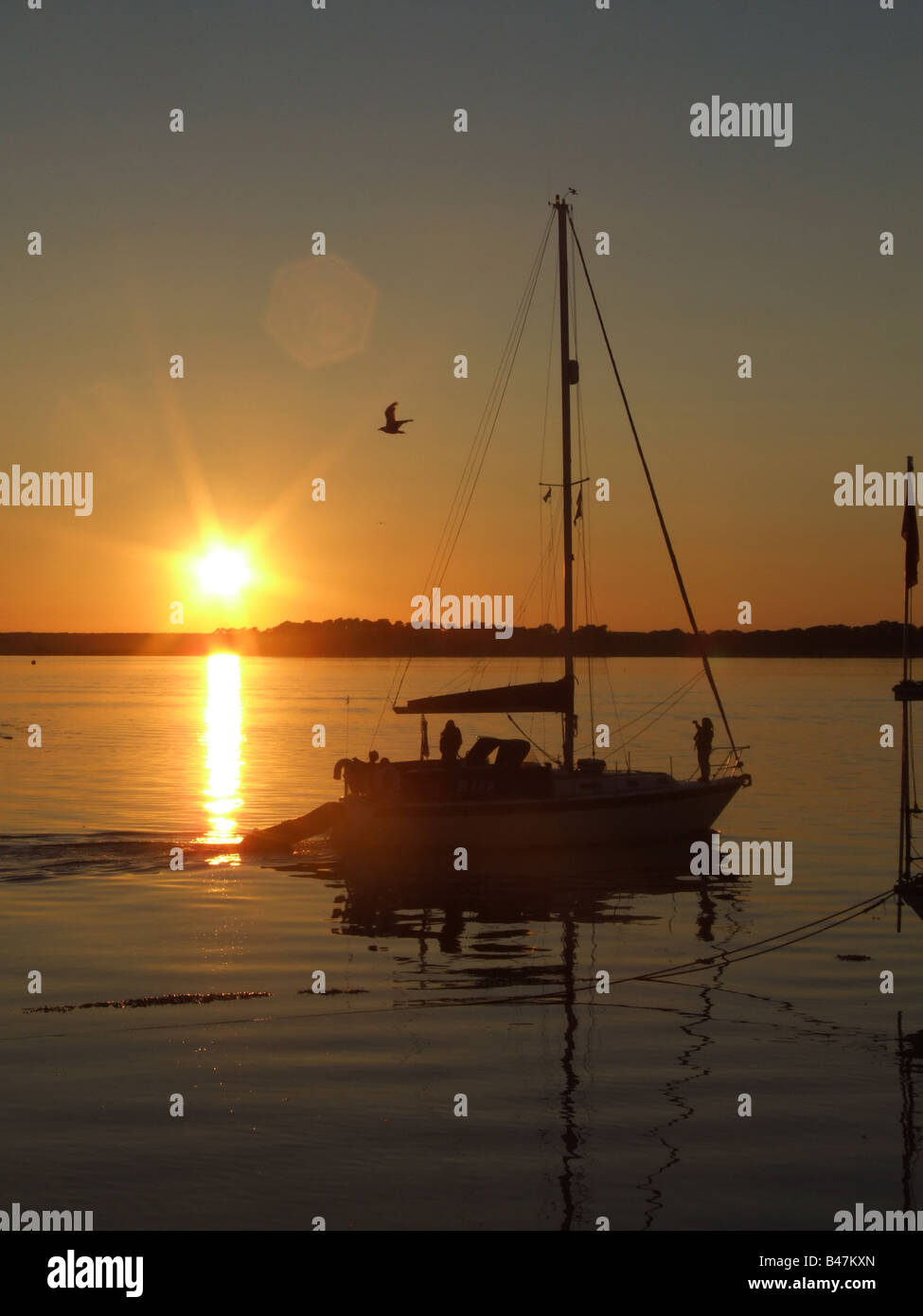 one single sailing boat in sea at sunset Stock Photo - Alamy