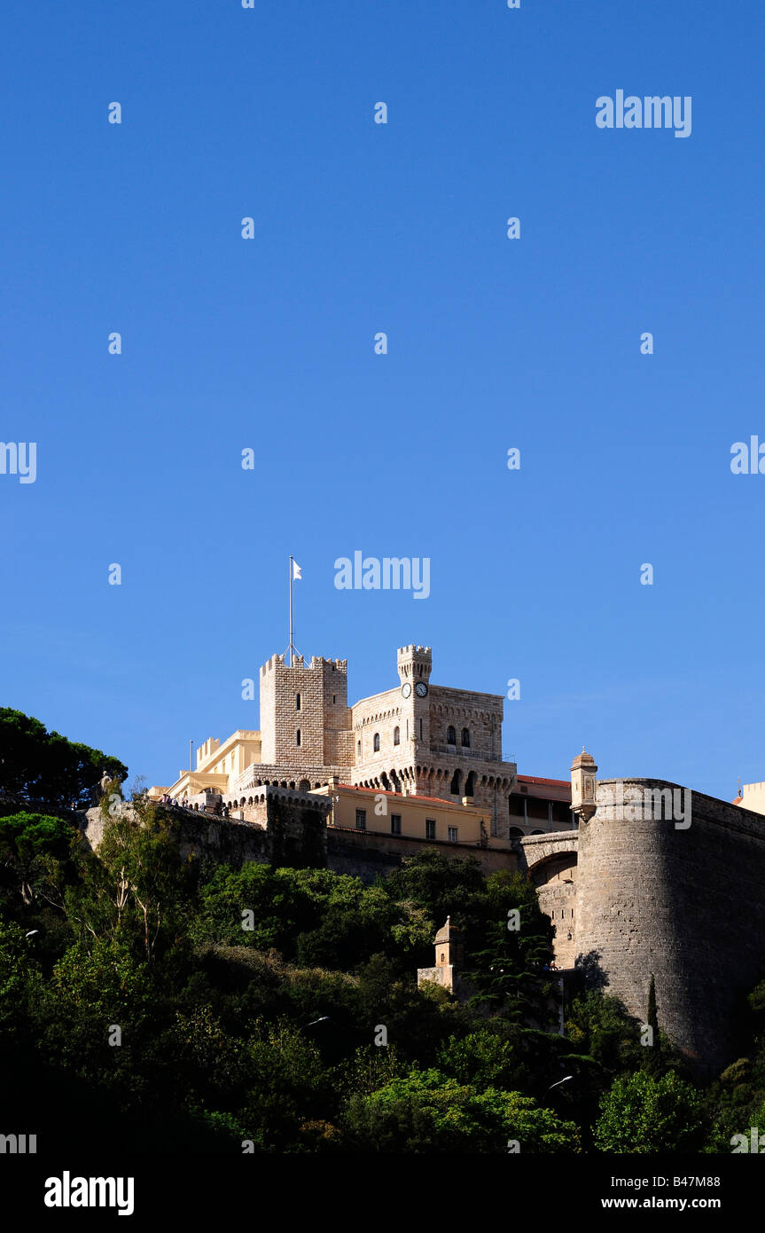 The Princes Palace, Monaco Castle. Picture by Patrick Steel ...
