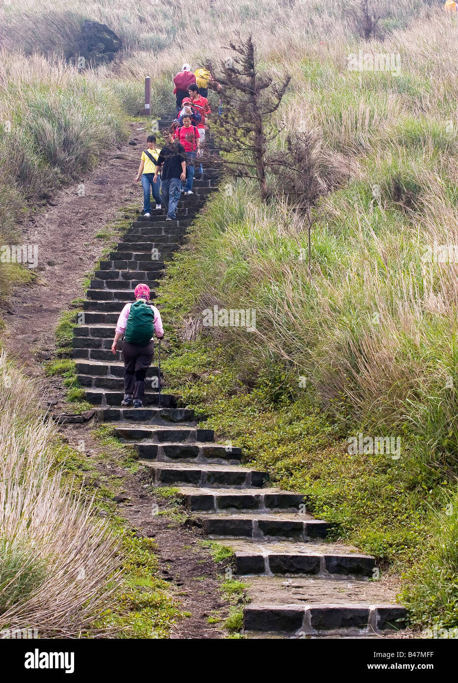Hiking path trail in Yangmingshan National Park, Taipei, Taiwan ...