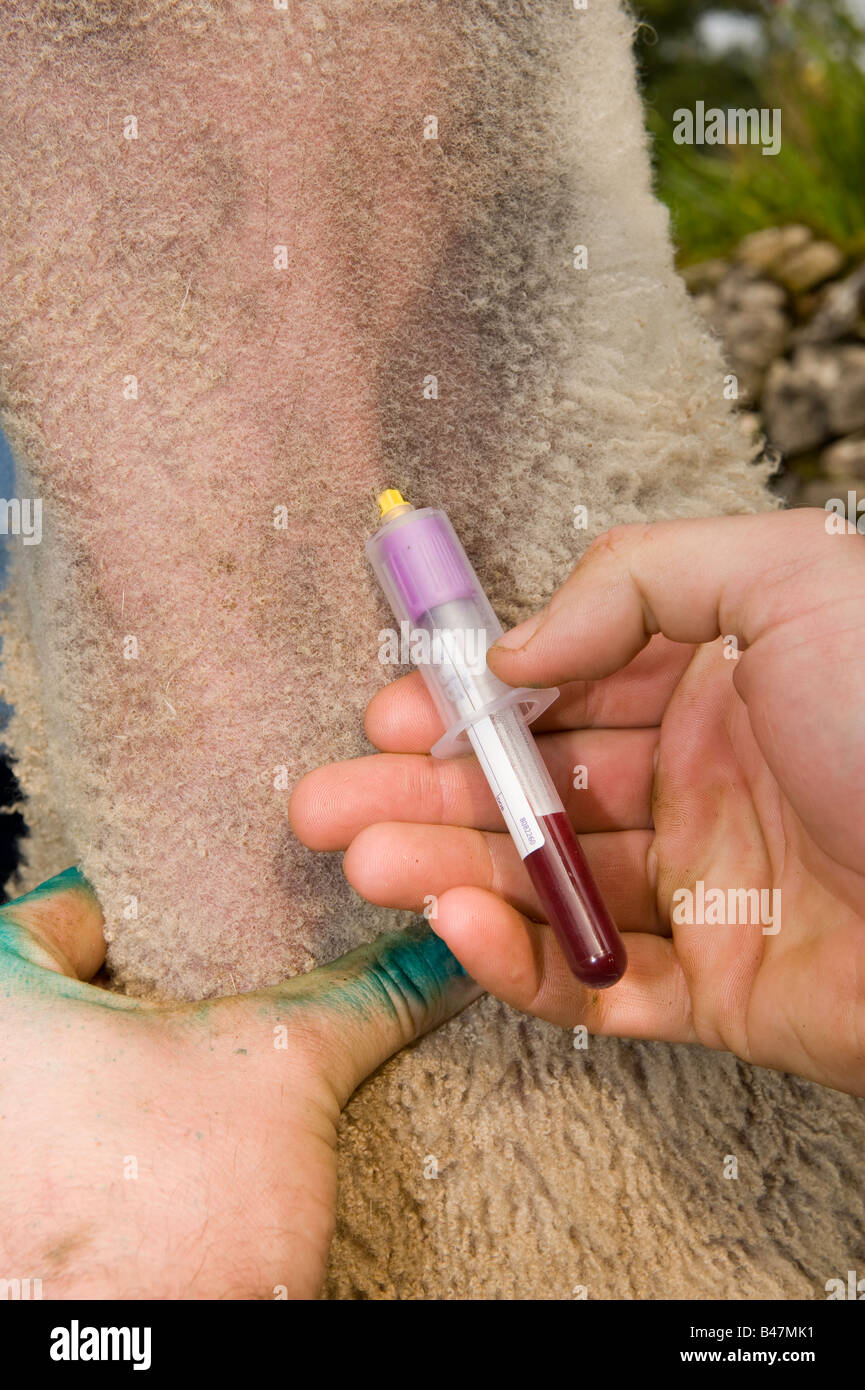 Tongue disease hi-res stock photography and images - Alamy