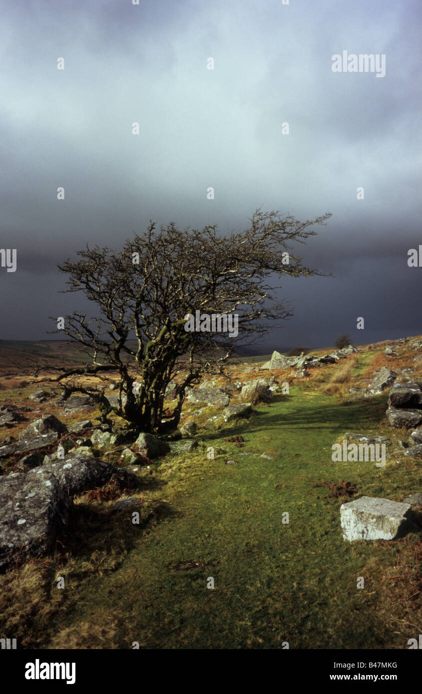 Moor storm hi-res stock photography and images - Alamy