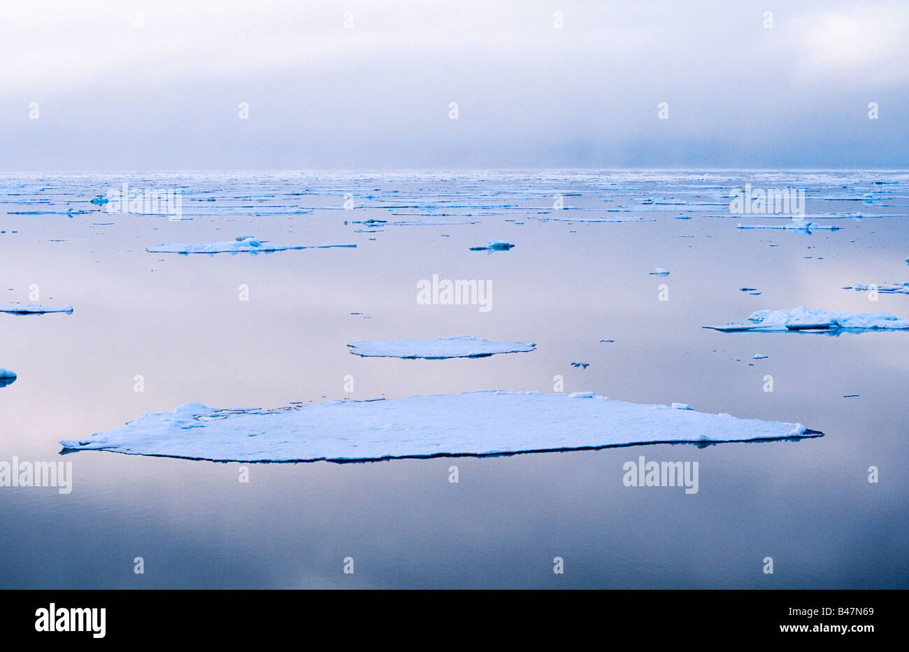 Melting ice floe in arctic Stock Photo - Alamy