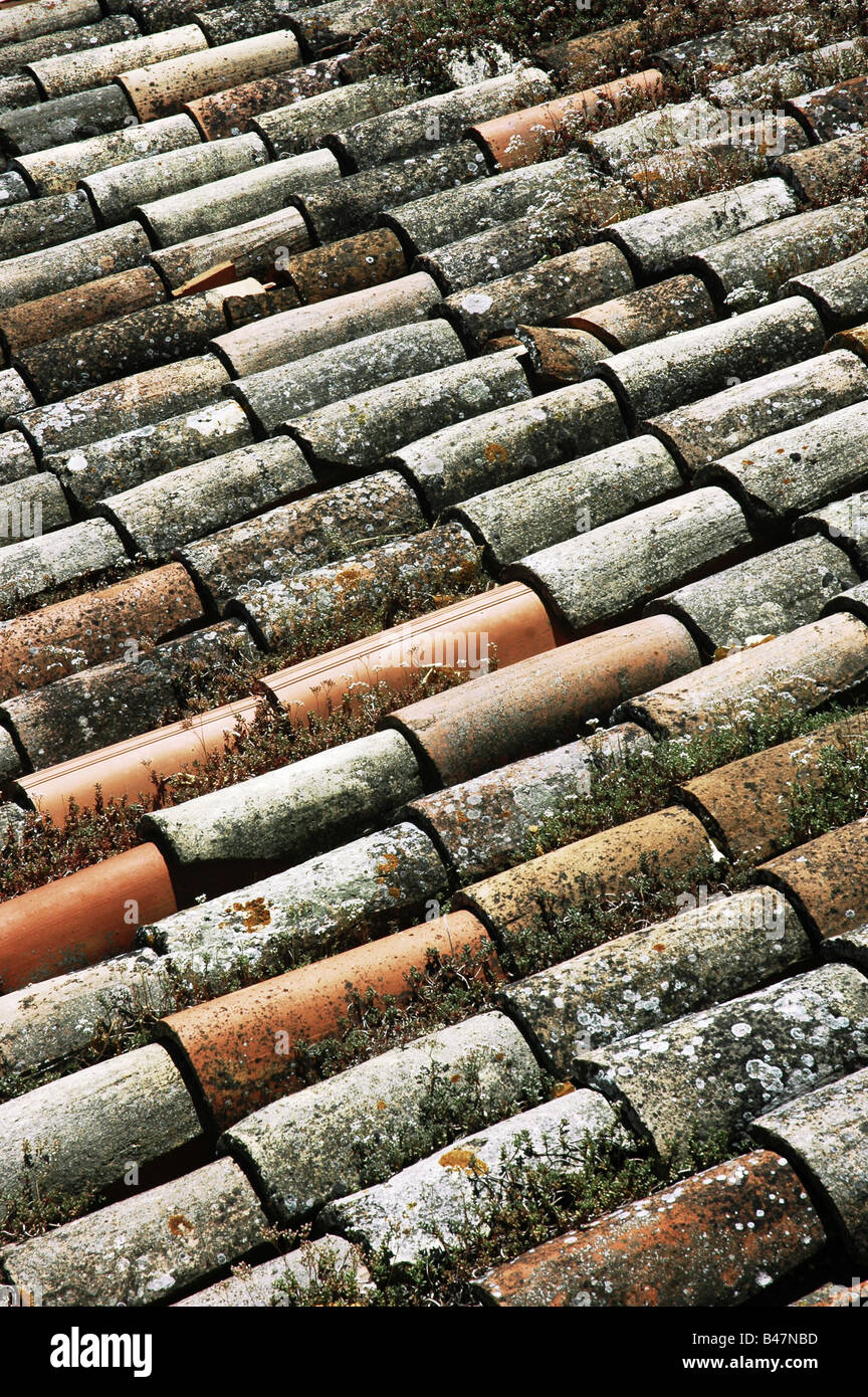 A close-up of some weather beaten roof tiles Stock Photo - Alamy