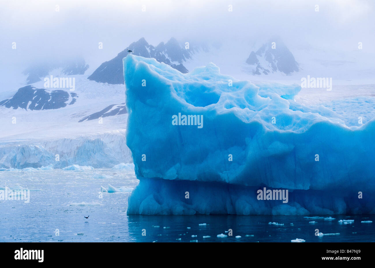 Glacier wall at the sea shore Stock Photo - Alamy