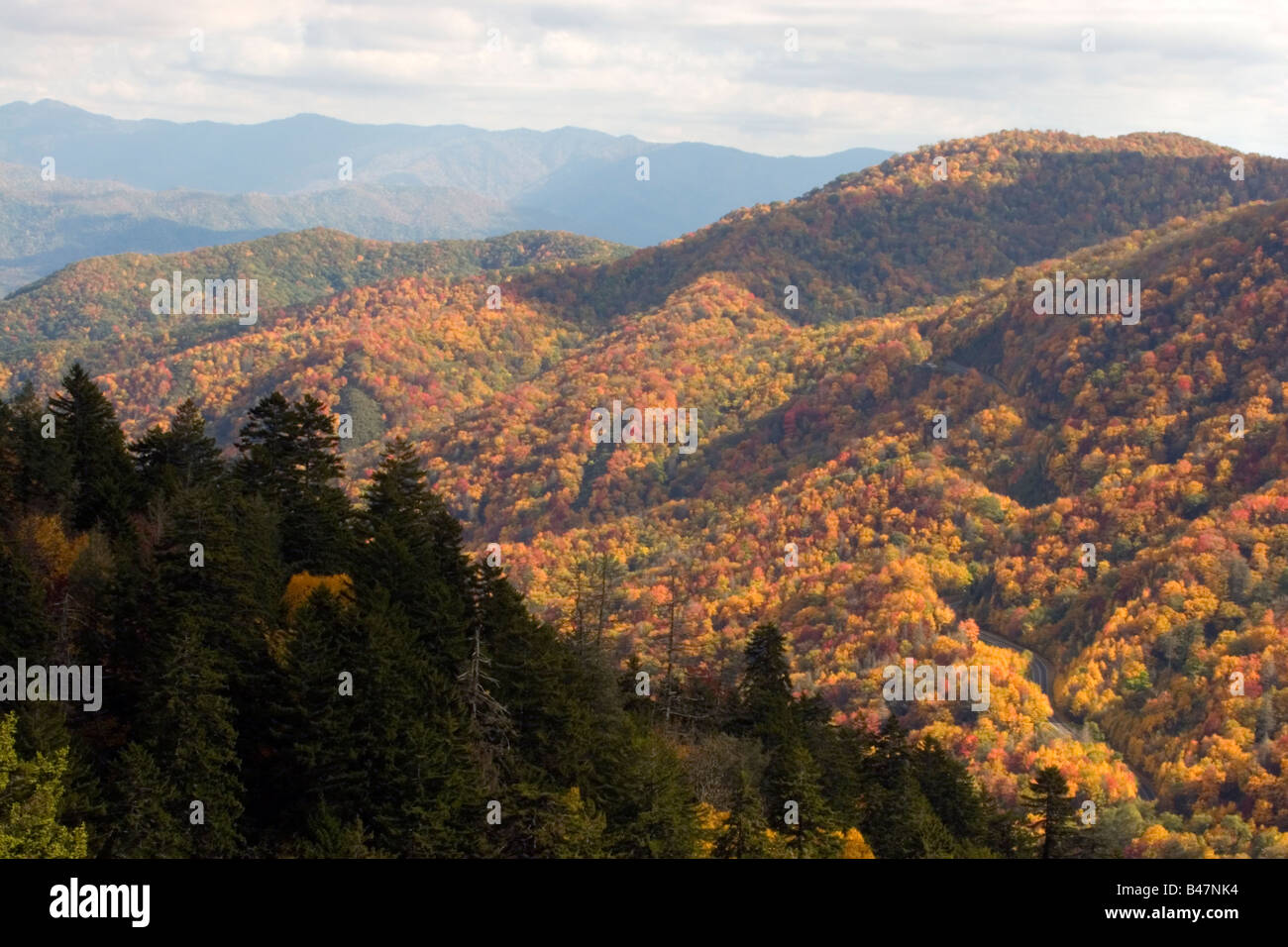 Newfound Gap, Great Smokey Mountains National Park, North Carolina, USA ...