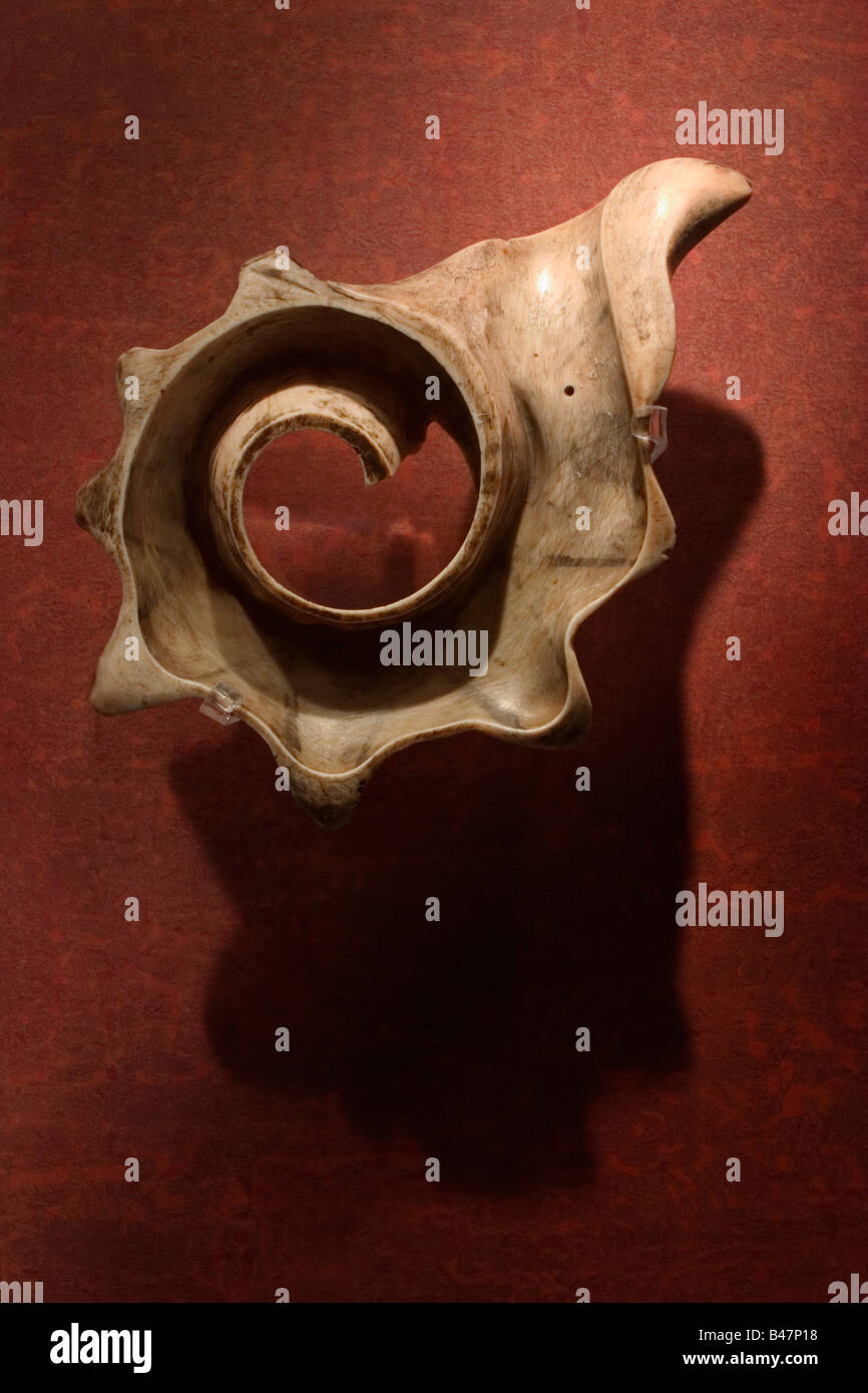 Mexica (Aztec) sectioned conch shell pectoral (Ehecacozcatl) at the ...