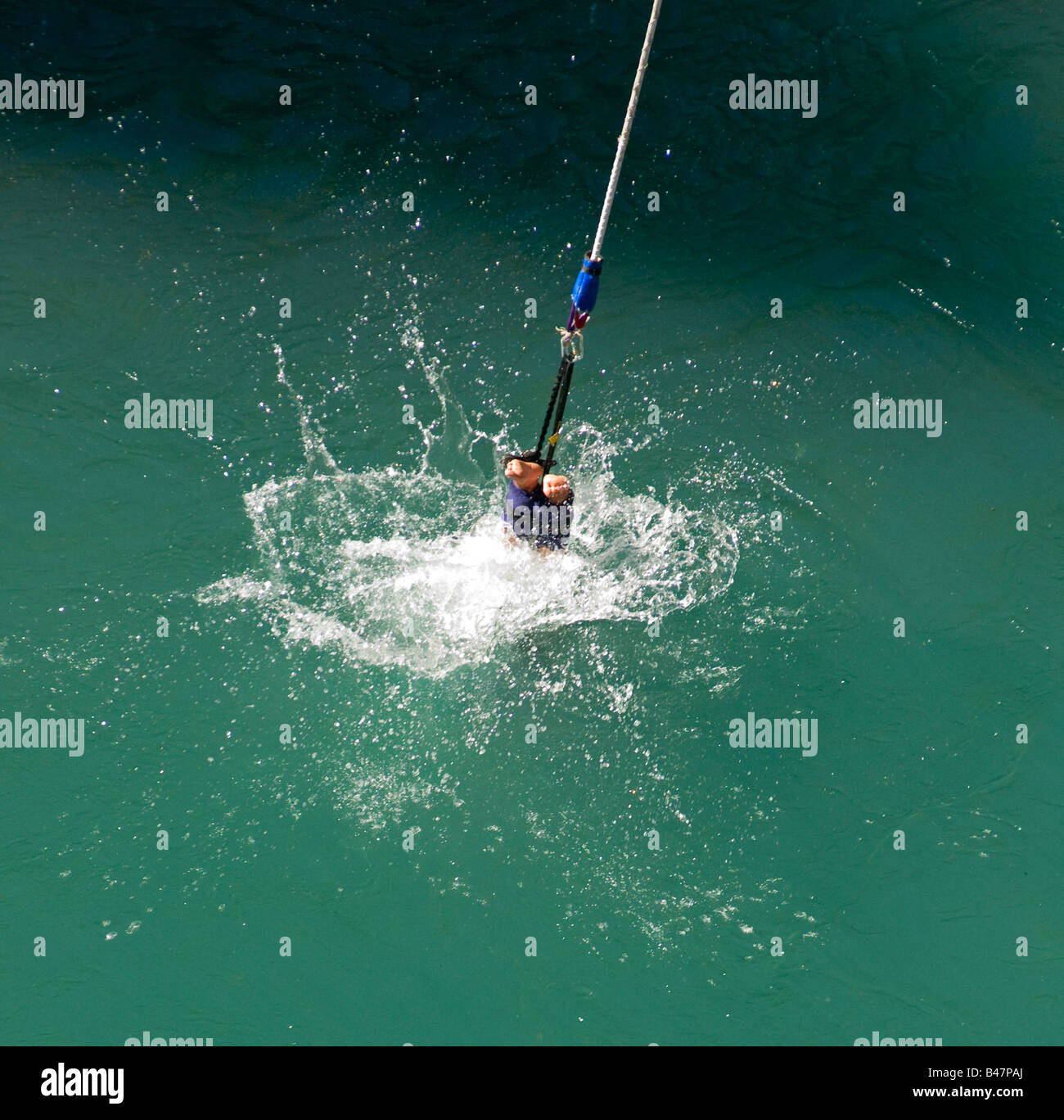 A man bungee jumping entering from the water from the A J Hackett ...