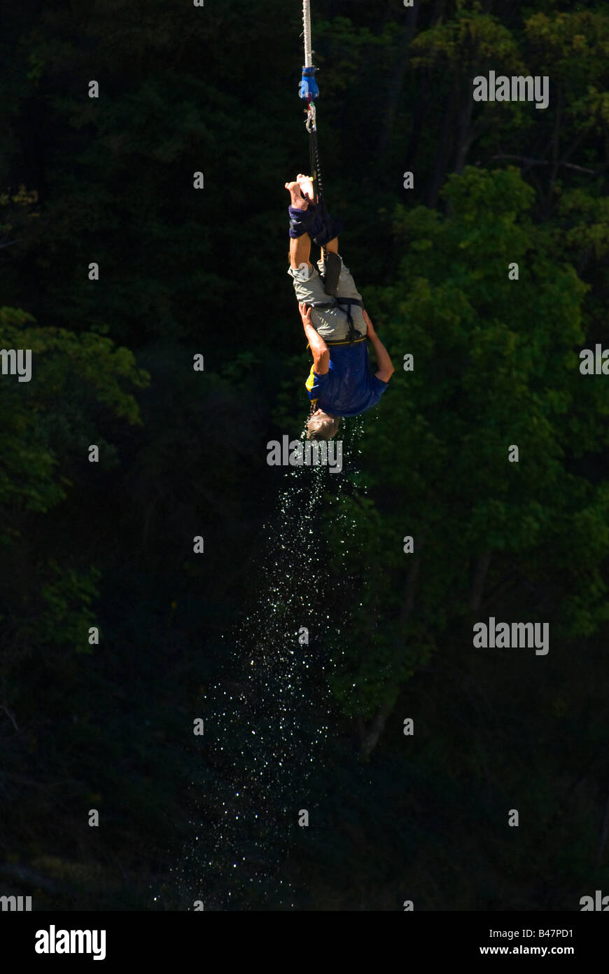 A man bungee jumping emerging from the water from the A J Hackett ...