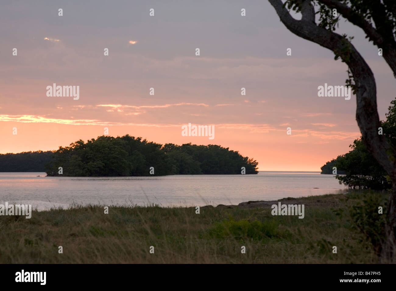 Ten Thousand Islands Stock Photo - Alamy