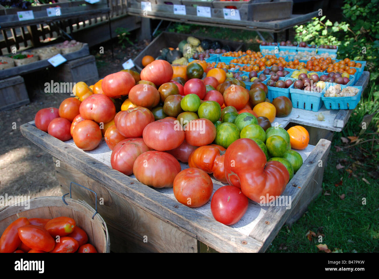 vegetables at farm stand Stock Photo - Alamy